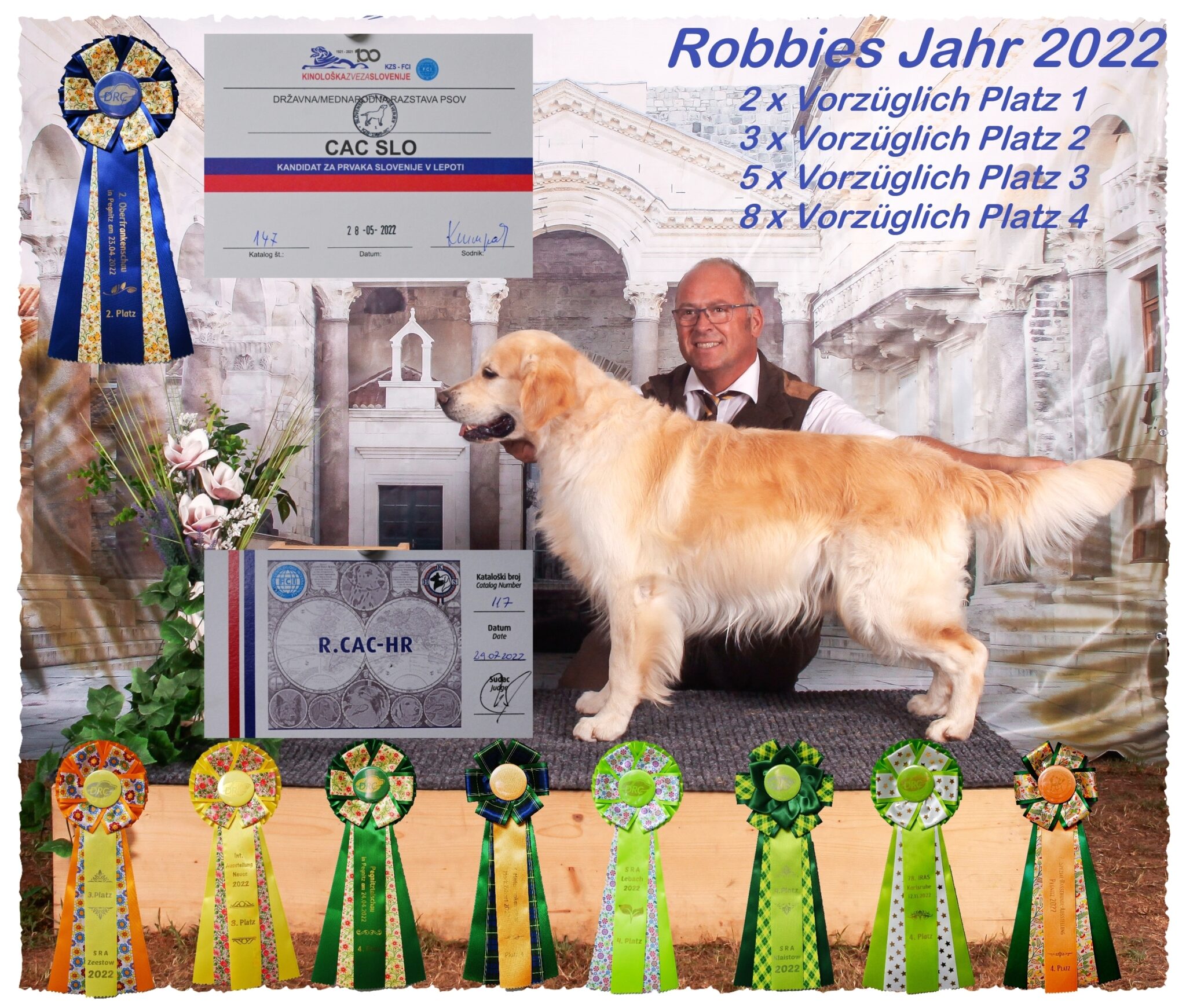 Unser Deckrüde Robbie | Golden Retriever Heidelberg